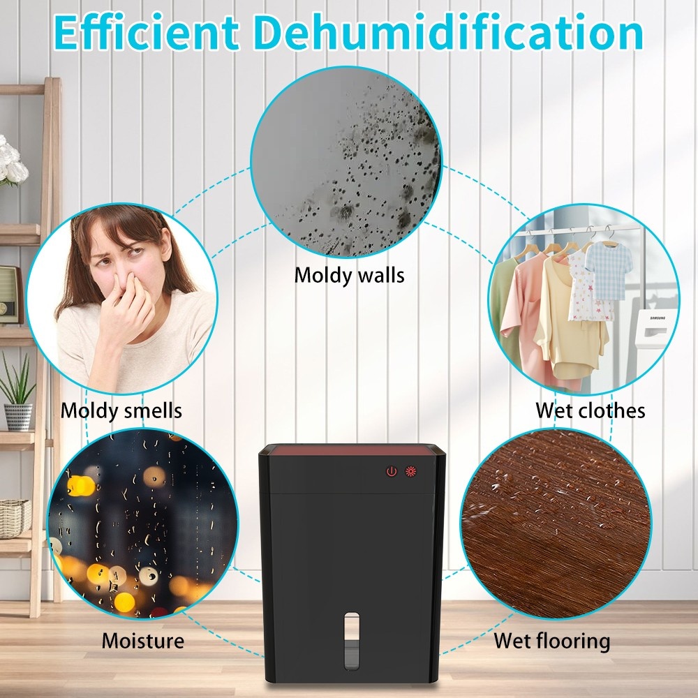 dehumidifier